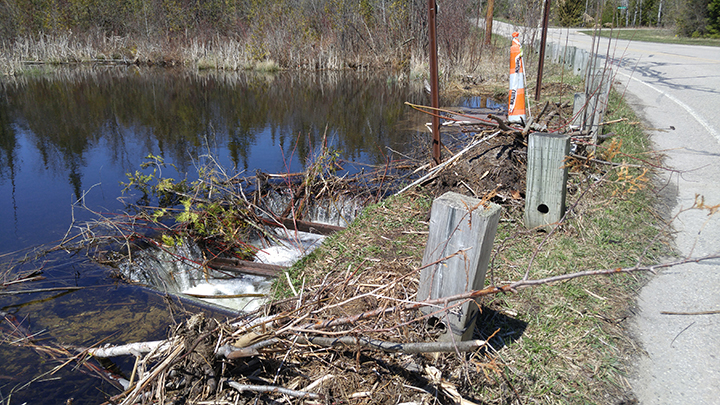 After delays, Cedar Lake dam project planned for fall | News, Sports ...